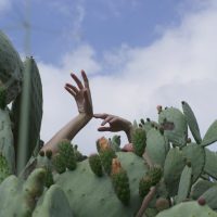 Contact – NATALIE MATTOZZI